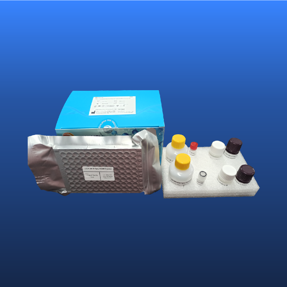 New Coronavirus COVID-19 IgG ELISA Assay Kit - Hunan Runmei Gene ...